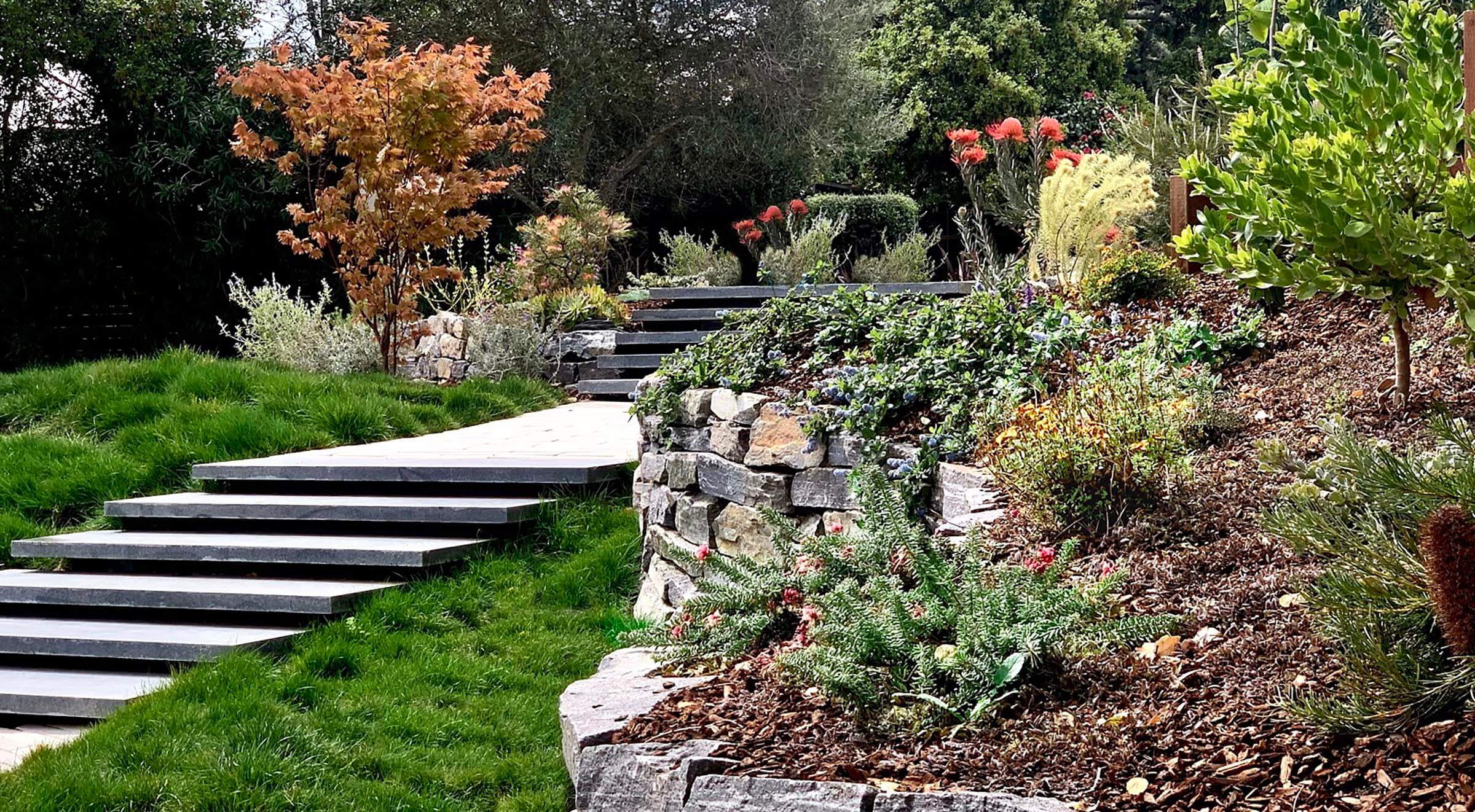 Transform Your Outdoor Space | NatureWalk Landscapes